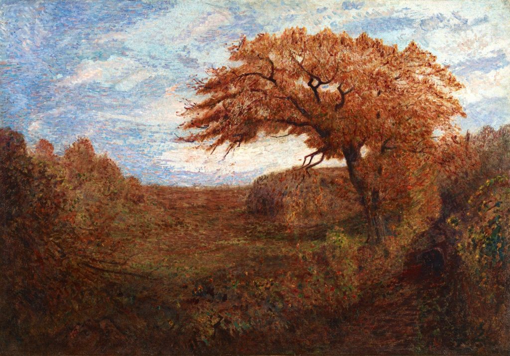 Camminata sui Luoghi pellizziani: La Montà di Bogino | DiscoverDerthona